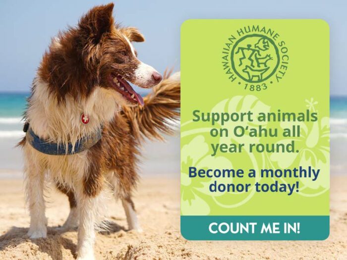 Hawaiian Humane Society