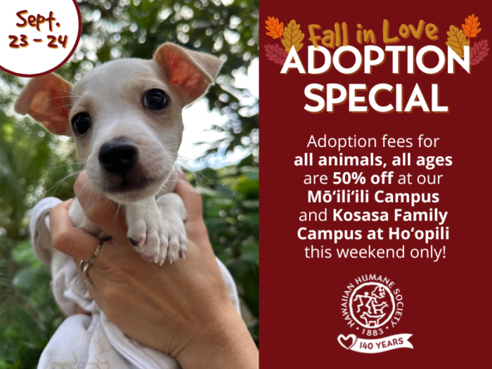 Adoptions : Hawaiian Humane Society