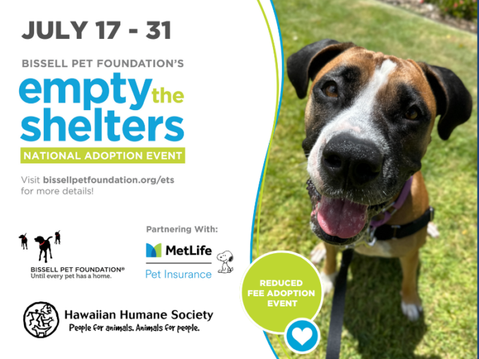 Adoptions : Hawaiian Humane Society