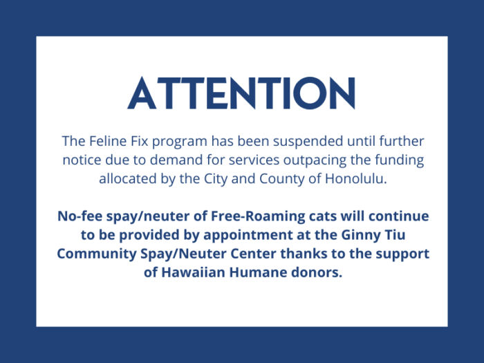 Feline Fix Program : Hawaiian Humane Society