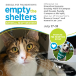 Empty the Shelters Adoption Event : Hawaiian Humane Society